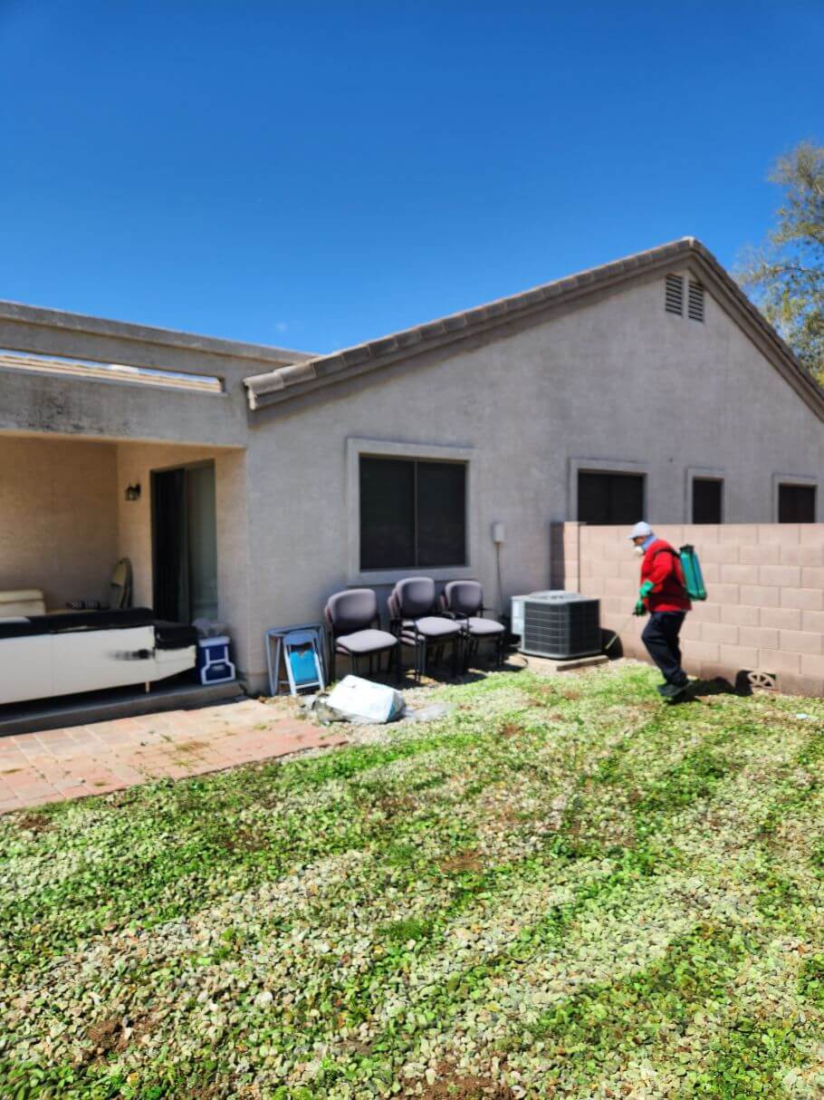 Gallery - Valentine Landscaping of Avondale